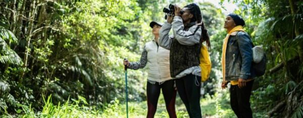 ¿Qué es ecoturismo?